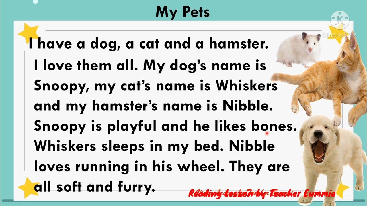 Reading for Grade 3: READING FOR KIDS TO IMPROVE READING COMPREHENSION ...