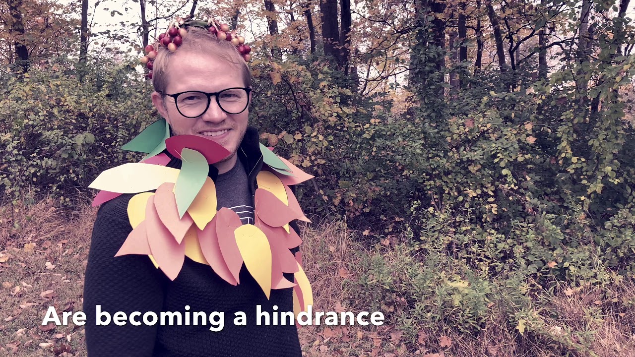 CAM Kids Day Fall Fun Why Do Leaves Fall Off Trees With The cam-kids-day-fall-fun-why-do-leaves-fall-off-trees-with-the