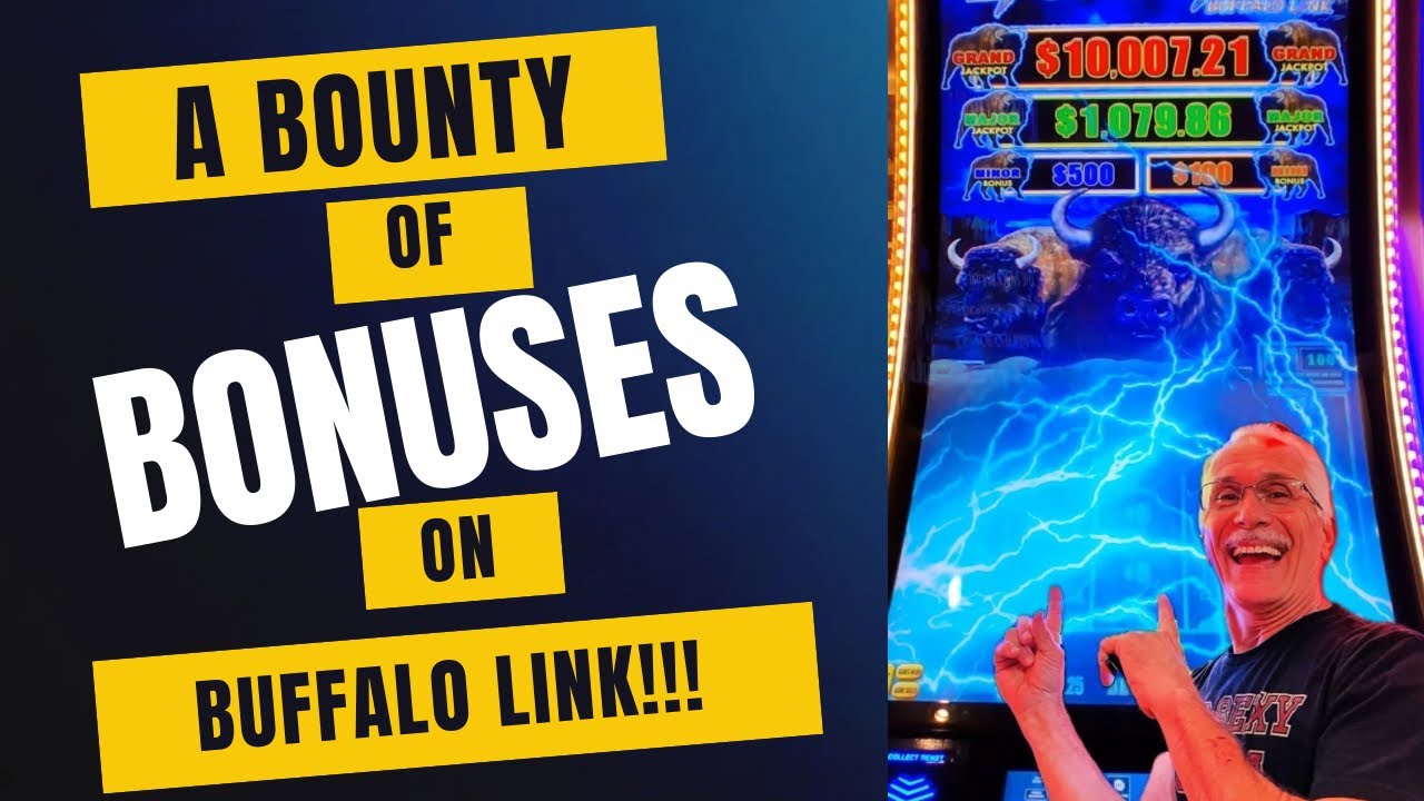 A BOUNTY of BUFFALO BONUSES!! Buffalo Link loved me today! - YouTube