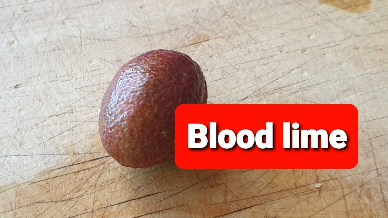 BLOOD LIME? - YouTube