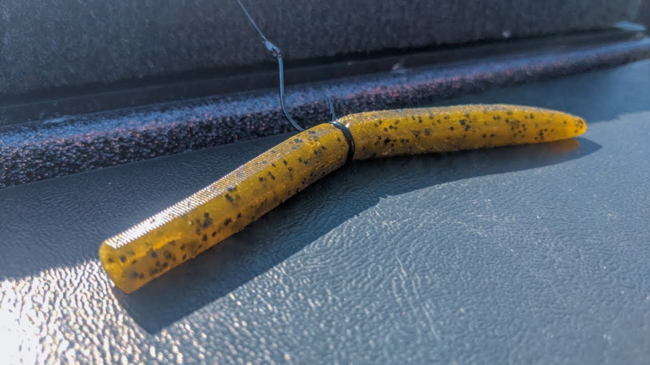 Simple Rig = TONS of FUN! (Spring Wacky Rig Fishing) - YouTube