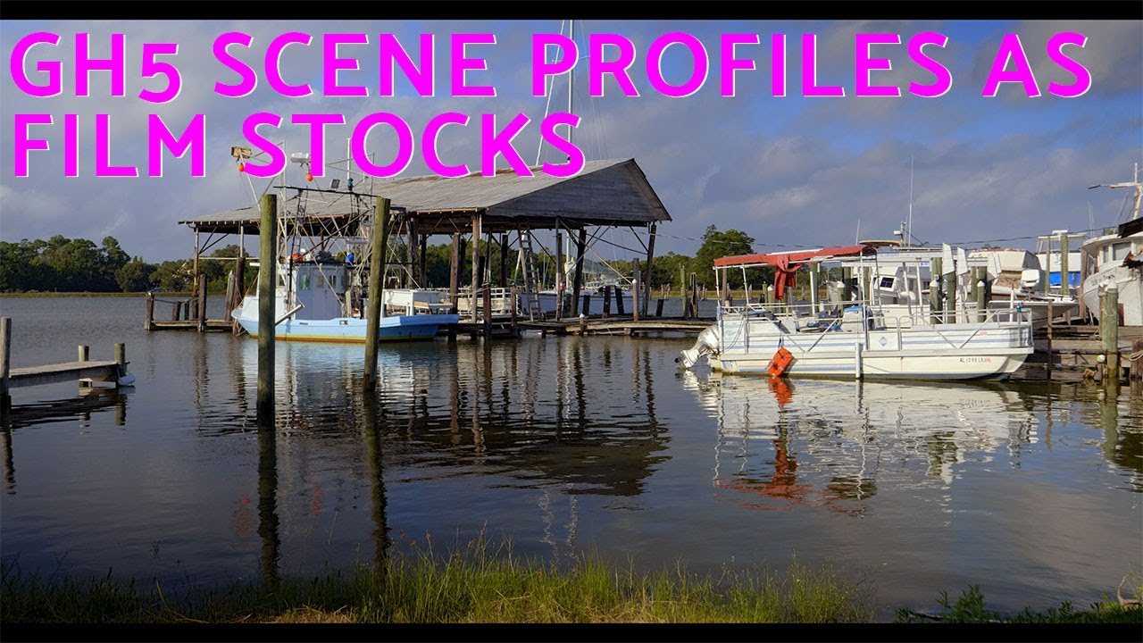 GH5 scene profiles are film stocks and top 3 pieces of essential gear ...