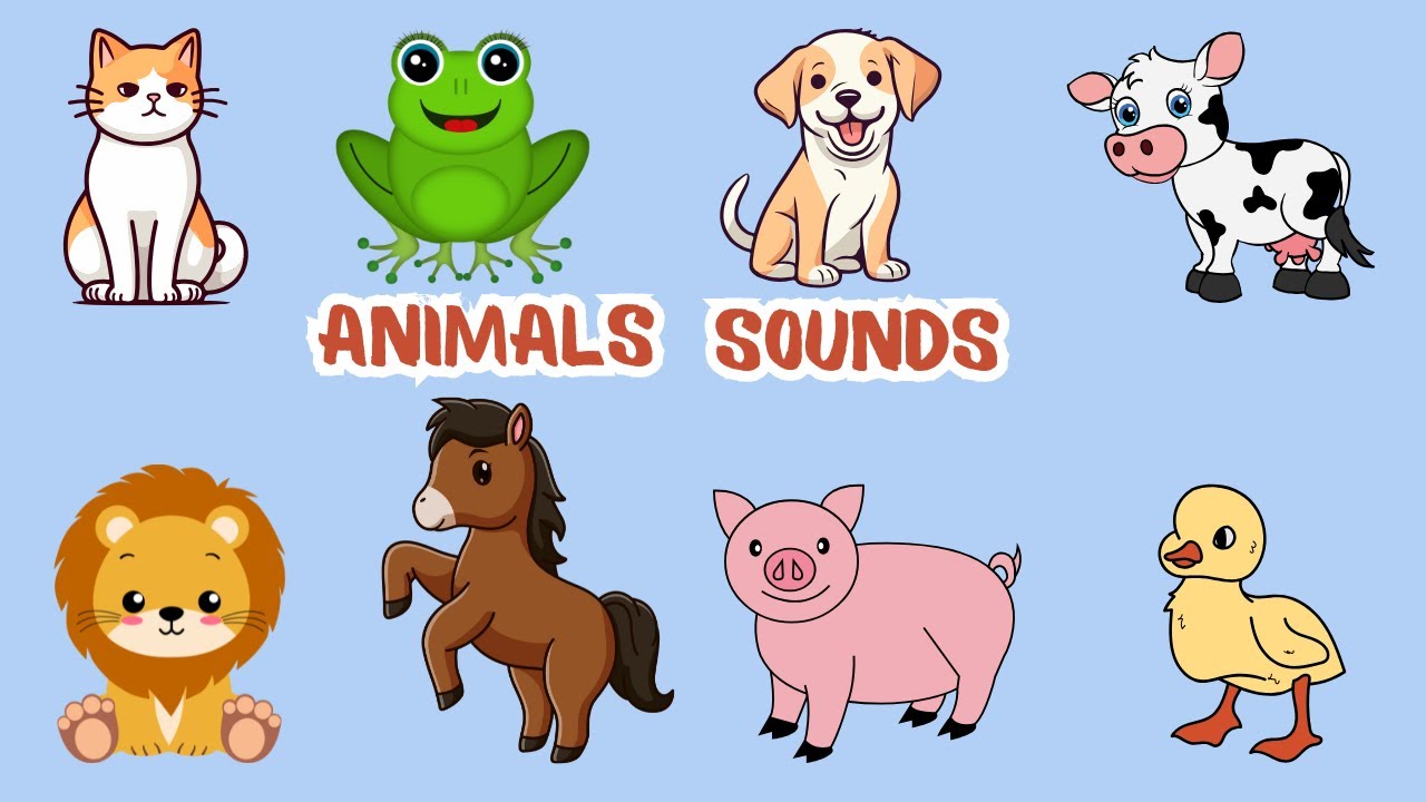 Animal Sounds song , What sounds do Animals make, Farm Animals, Wild ...