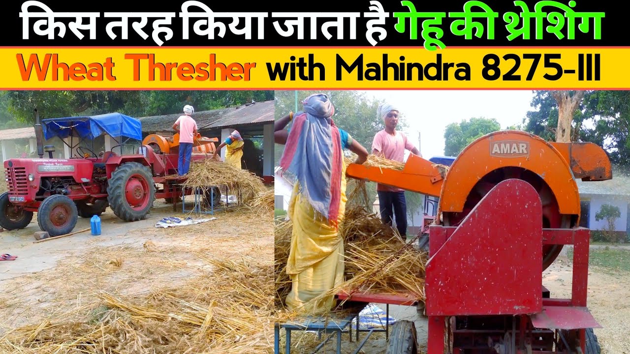 Wheat Threshing | गेहू के कटाई थ्रेशर मे | Mahindra 8275-III Tractor & Multi Crop Thresher ...