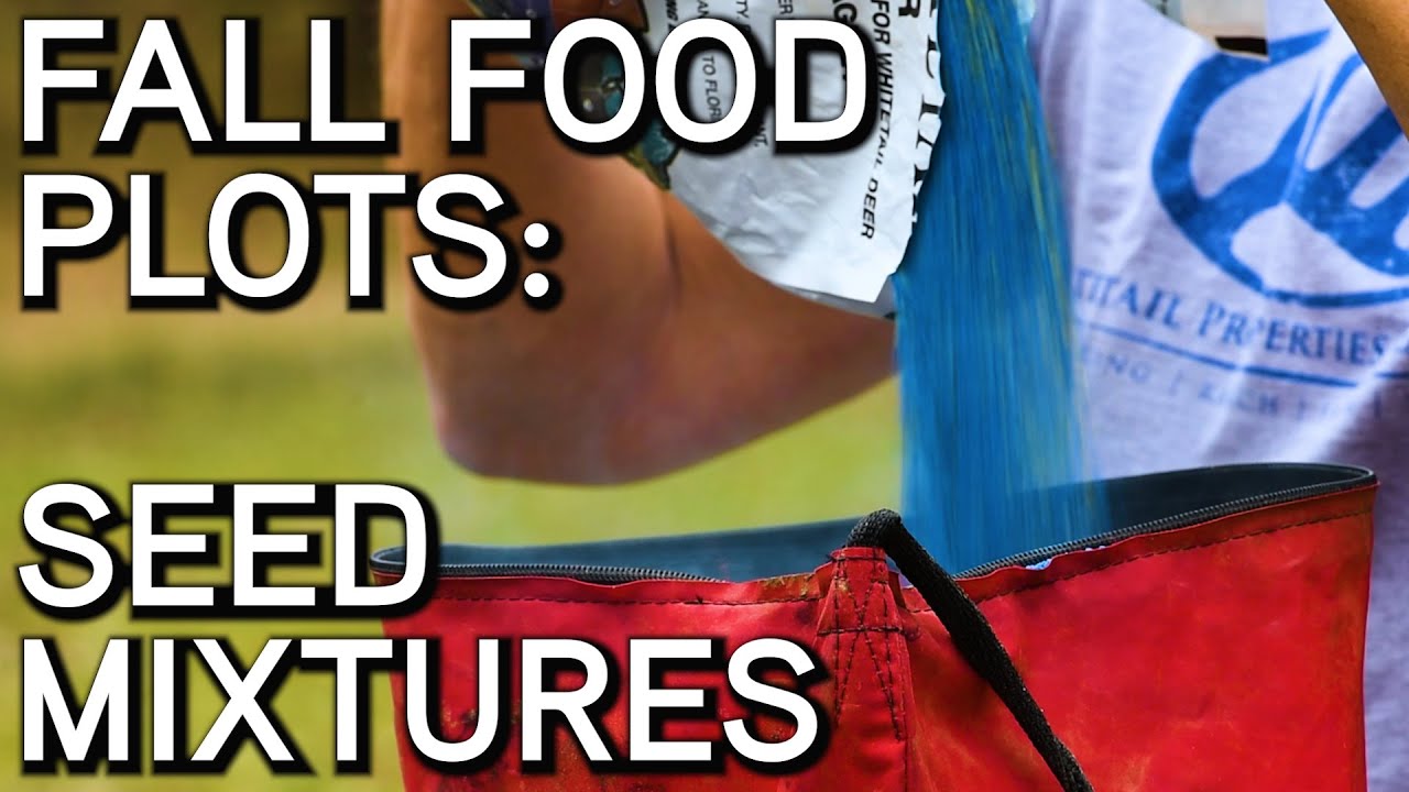 Fall Food Plots | Seed Combinations for Incredible Attractiveness ...