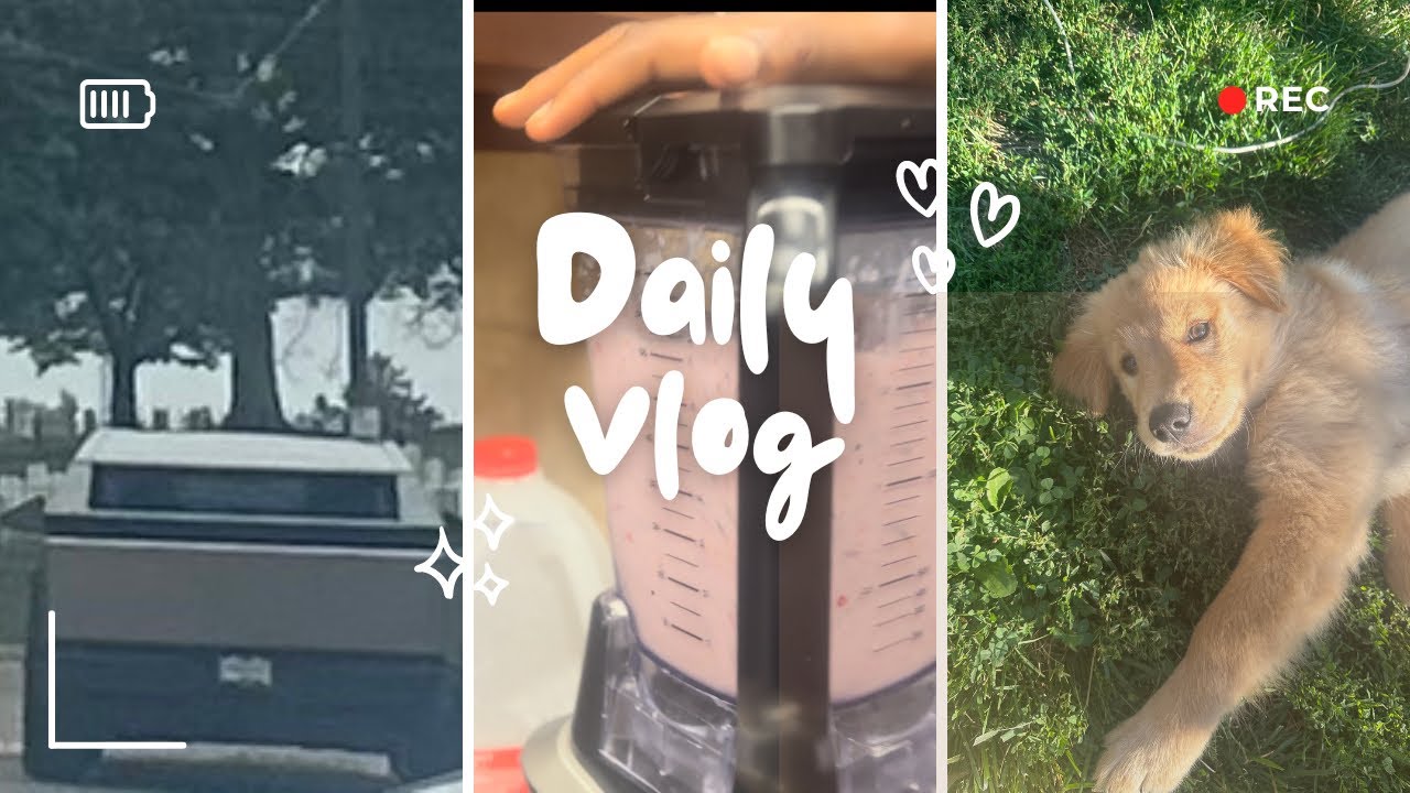 Daily Vlog Week 1 - YouTube