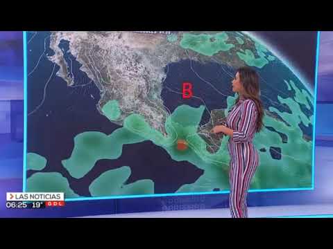 Susy almeida  2021 06 07