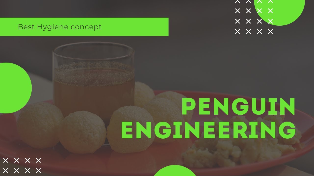 penguin engineering | hygienic concept | hygienic machine | automatic ...