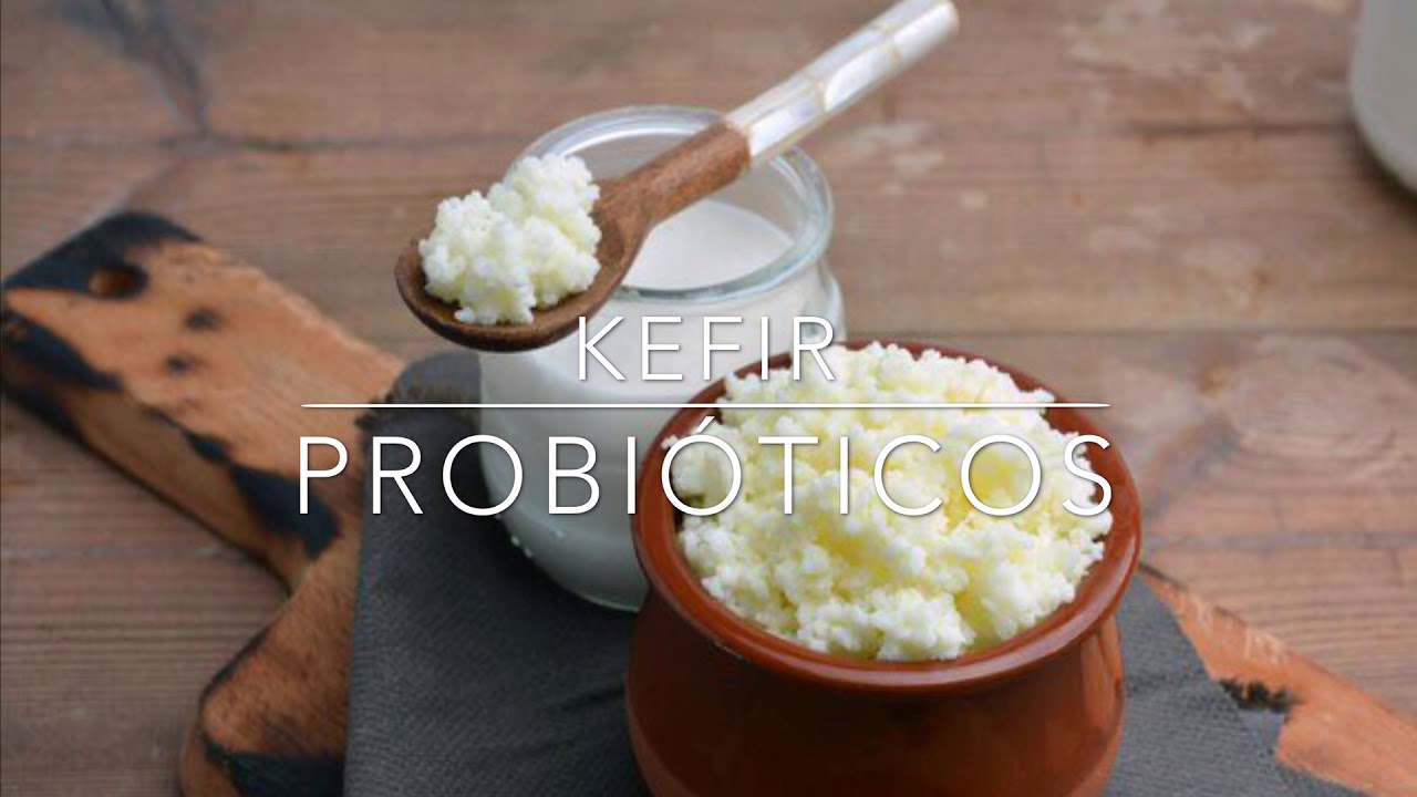 Kefir = PROBIÓTICOS - YouTube