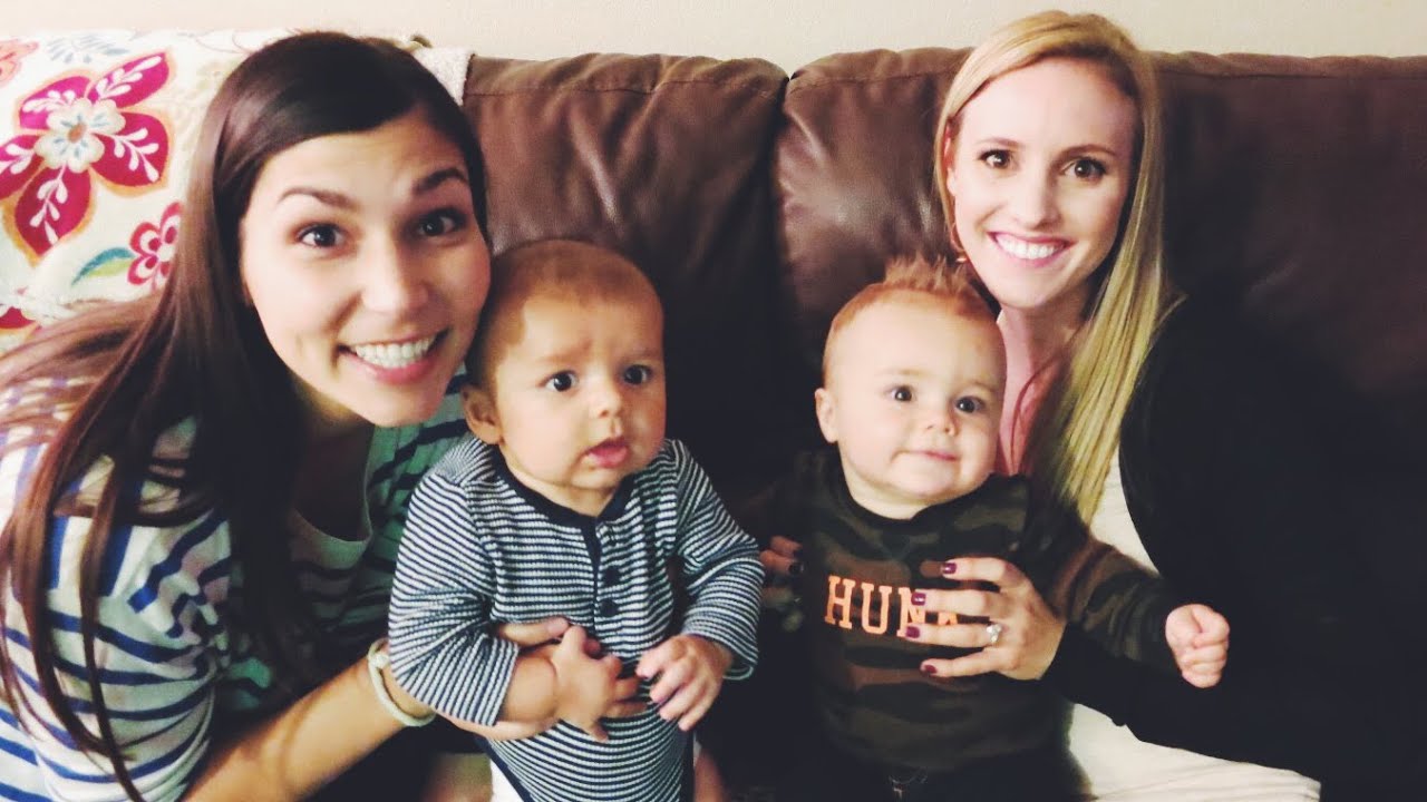 Cuteness Overload Youtube