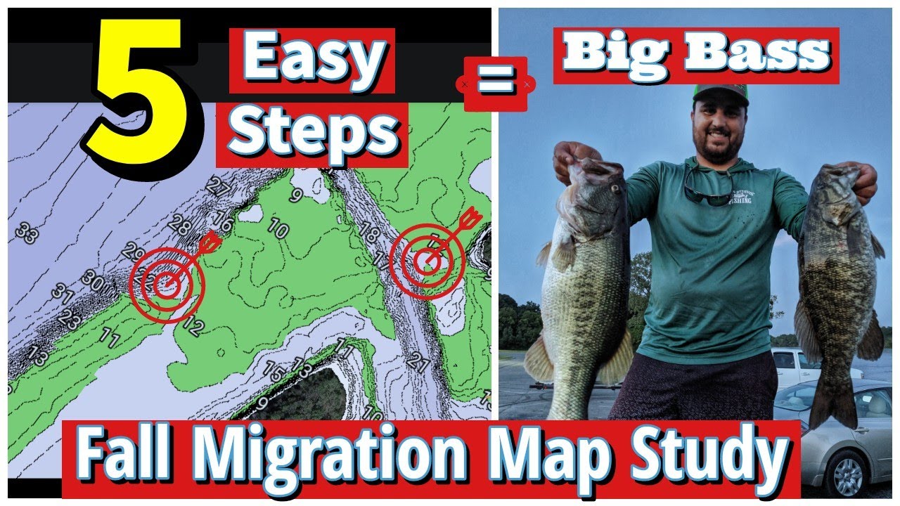 Best 5 Steps for BIG Fall Migration Bass!!! Chickamauga Map Study!!! - YouTube