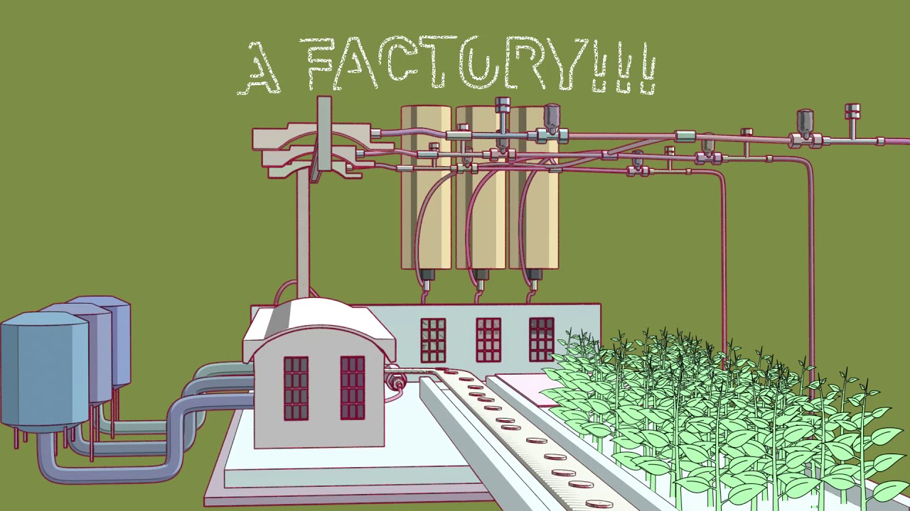 Cultured Meat Factory - Nemo Science Museum - YouTube