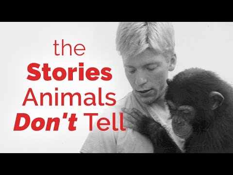 CARTA: All the Stories Animals Don't Tell with Daniel Povinelli - YouTube
