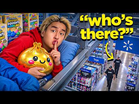 I Secretly Hid In a Grocery Store To Get the VIRAL Toy!