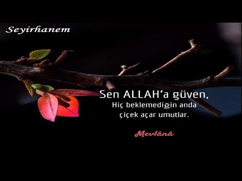 Sen Allah'a güven, Hiç beklemediğin anda çiçek açar umutlar...