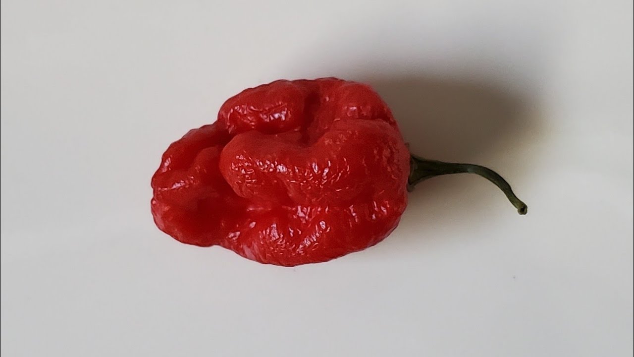 the Sweet Moruga.. replica of the Moruga Scorpion without the heat ...