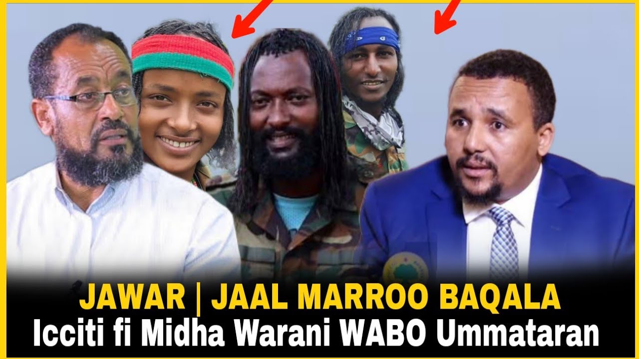 JAWAR | JAAL MARROO | BAQALA Icciti fi Midha Warani Moha oromo Kadir ...