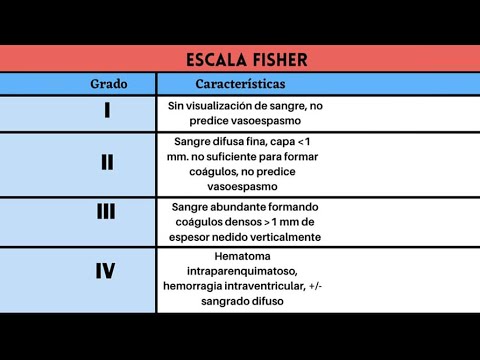🔴 ESCALA DE FISHER - YouTube
