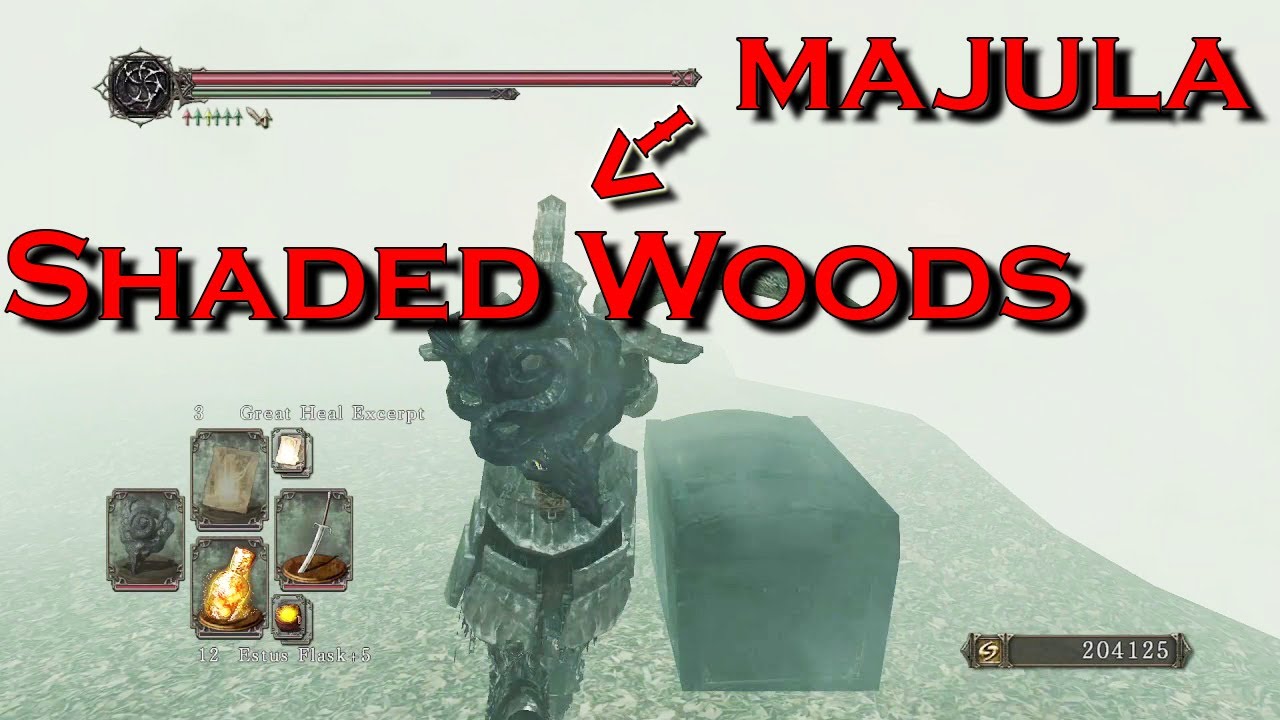 How to get to shaded woods / shaded ruins from majula - Dark Souls II ...