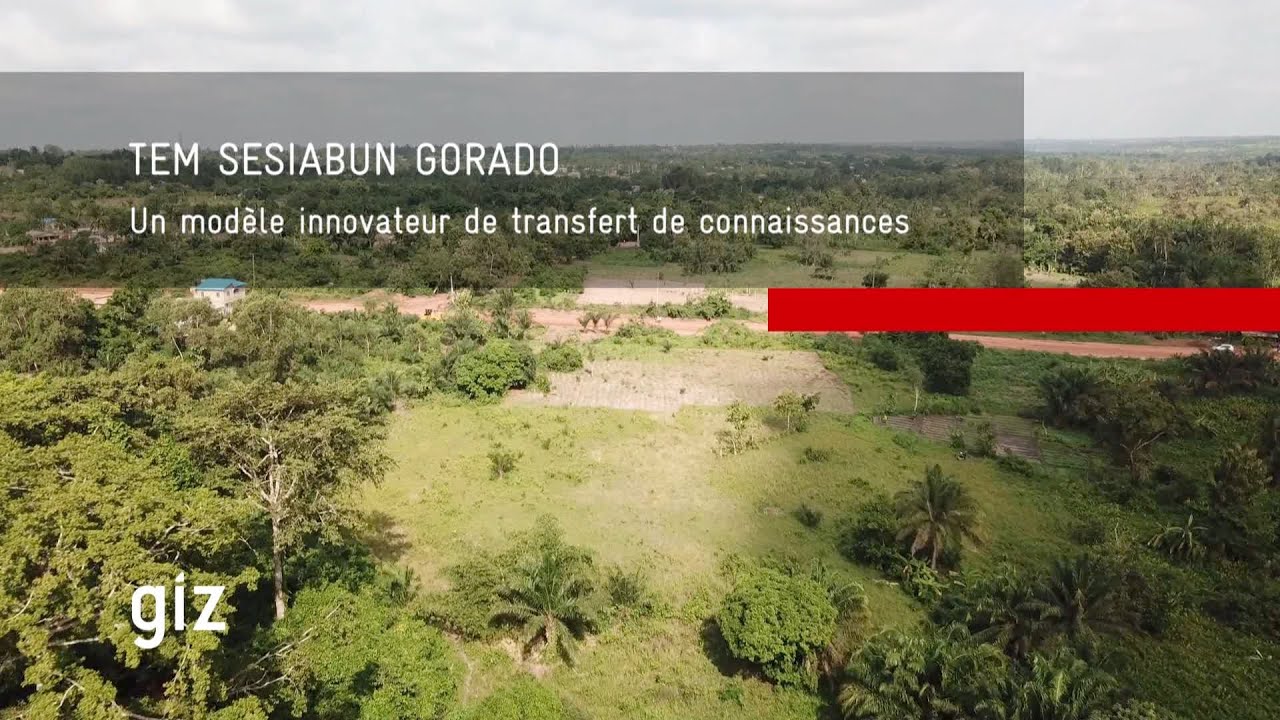 Tem Sesiabun Gorado - Un modèle innovateur de transfert de ...