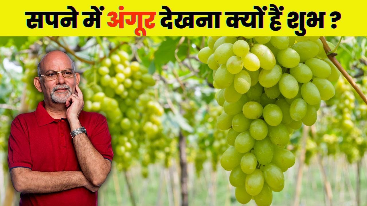 Sapne me angur dekhna | सपने में अंगूर देखना | Seeing grapes in dream ...