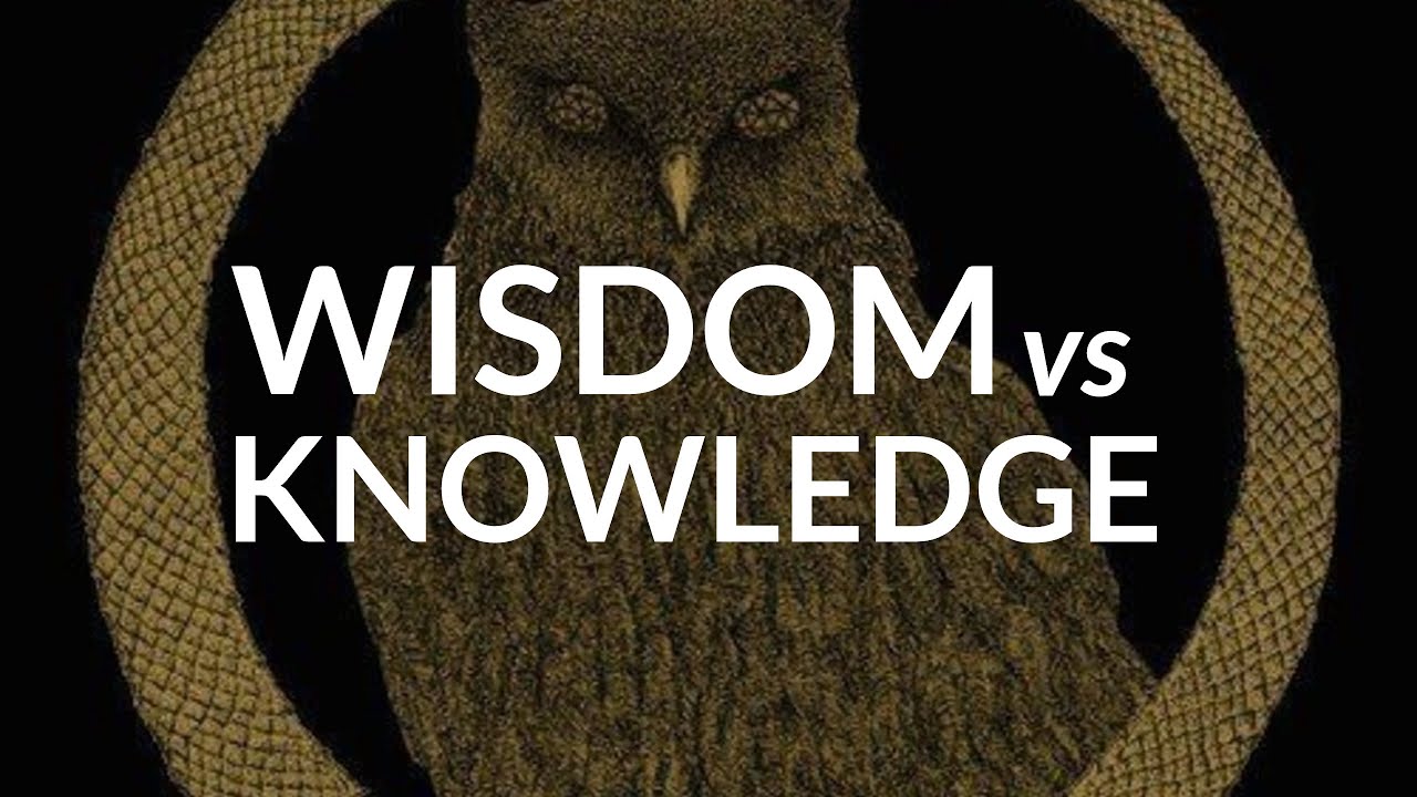 Wisdom vs Knowledge | Where are you speaking from? - YouTube