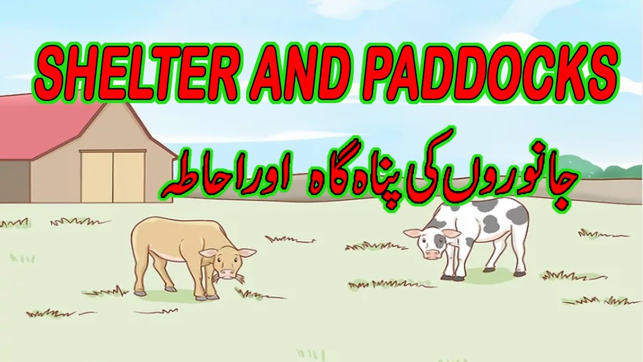 Calculating Grazing Paddock Size|Rotational Grazing on Small Acreage ...
