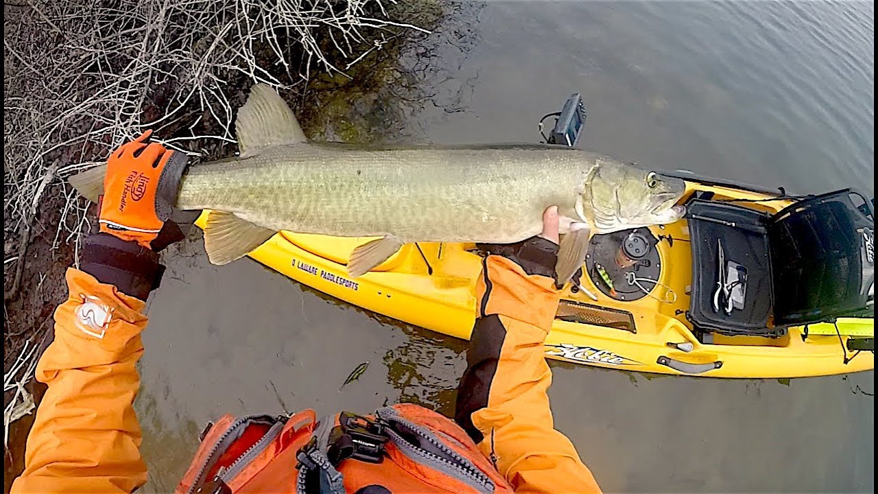 Fall Kayak Musky Hunting - YouTube
