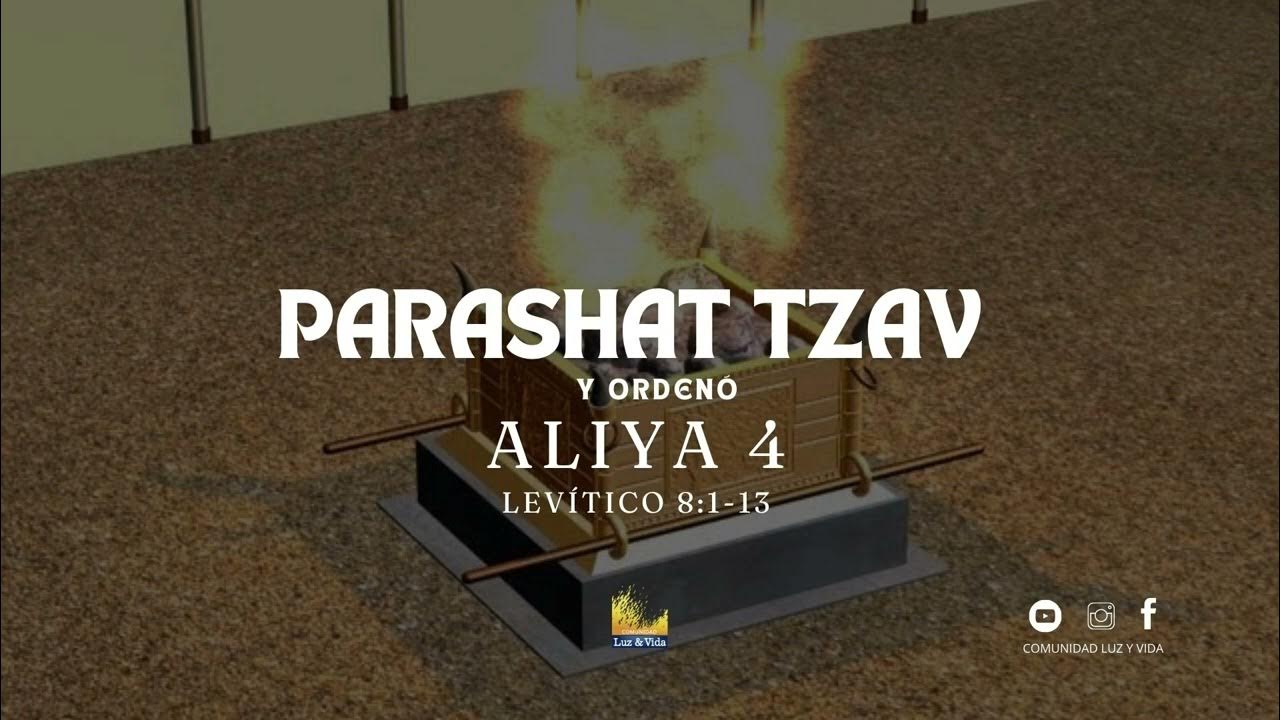 PARASHAT TAZAV - ALIYA 4 - YouTube