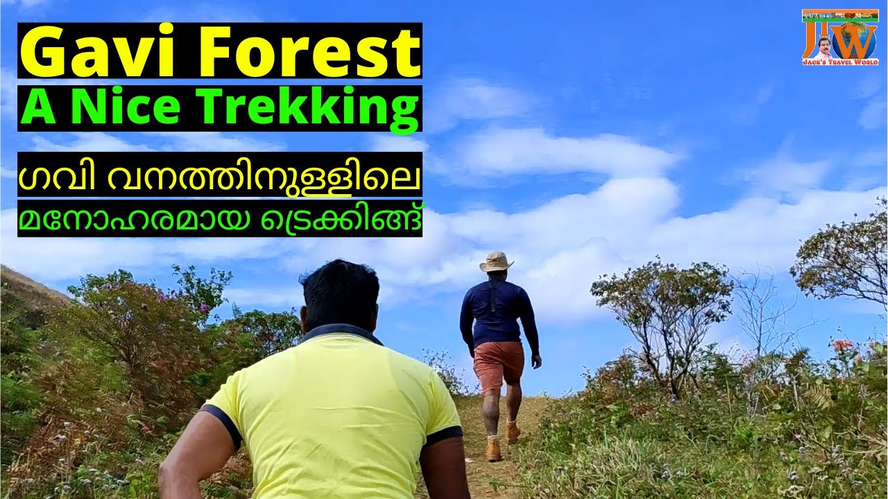 Gavi Forest A Thrilling Trekking Experience, ഗവി വനത്തിനുള്ളിലെ ...