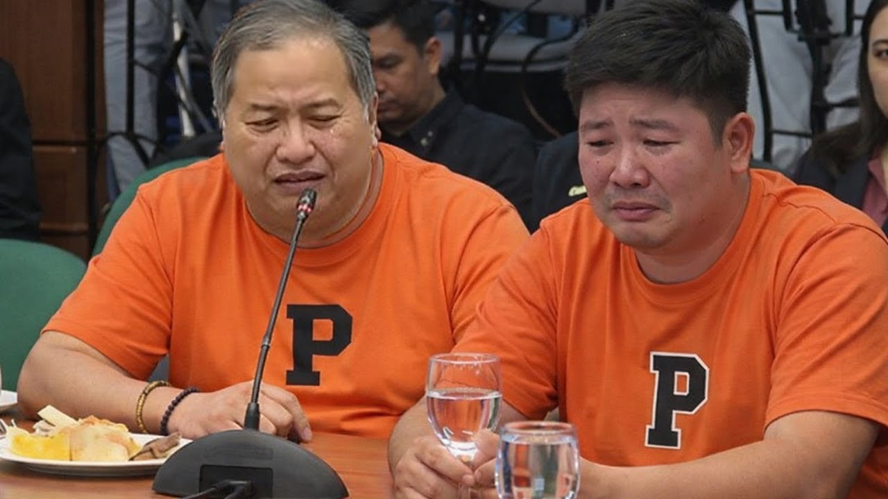 🔴 Philippines Senate Live: Mastermind Unmasked as Unexpected Twist ...
