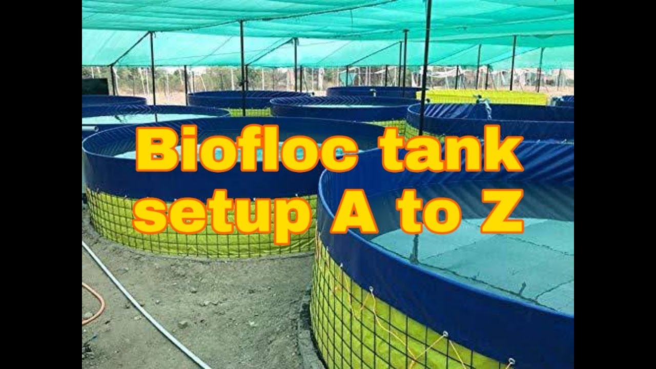 Biofloc tank setup A to Z... - YouTube