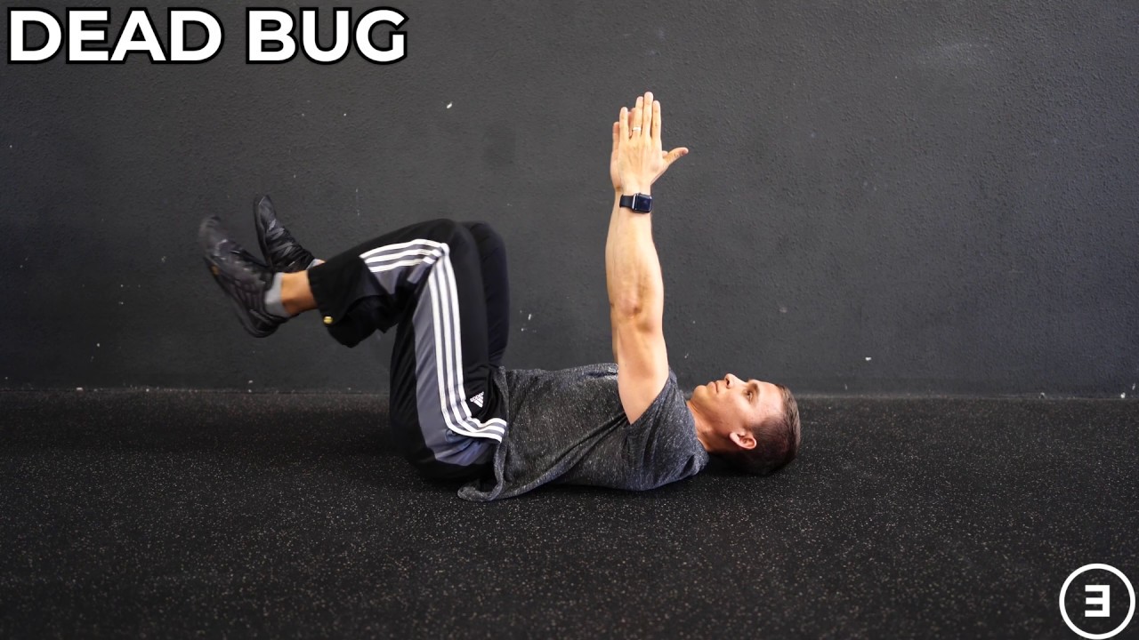 Dead Bug - YouTube