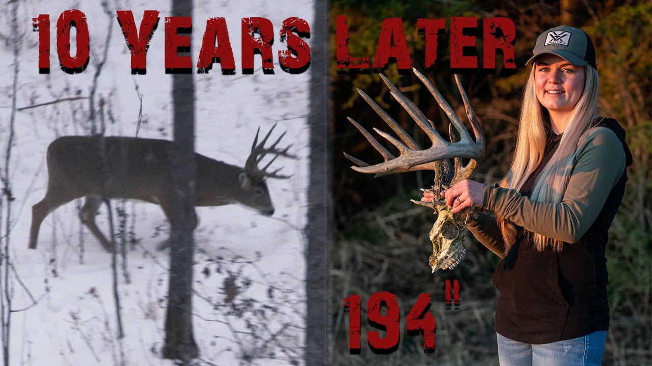 194" Alberta Bush Whitetail - 10 Years After he was Killed - YouTube