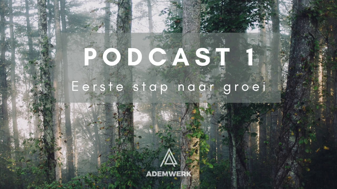 Podcast 1 - De eerste stap naar groei - YouTube