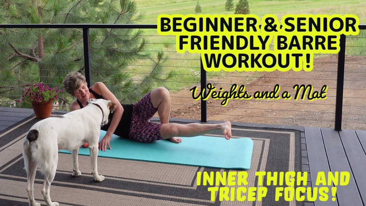 Target Inner Thighs & Triceps: Senior & Beginner Barre - YouTube