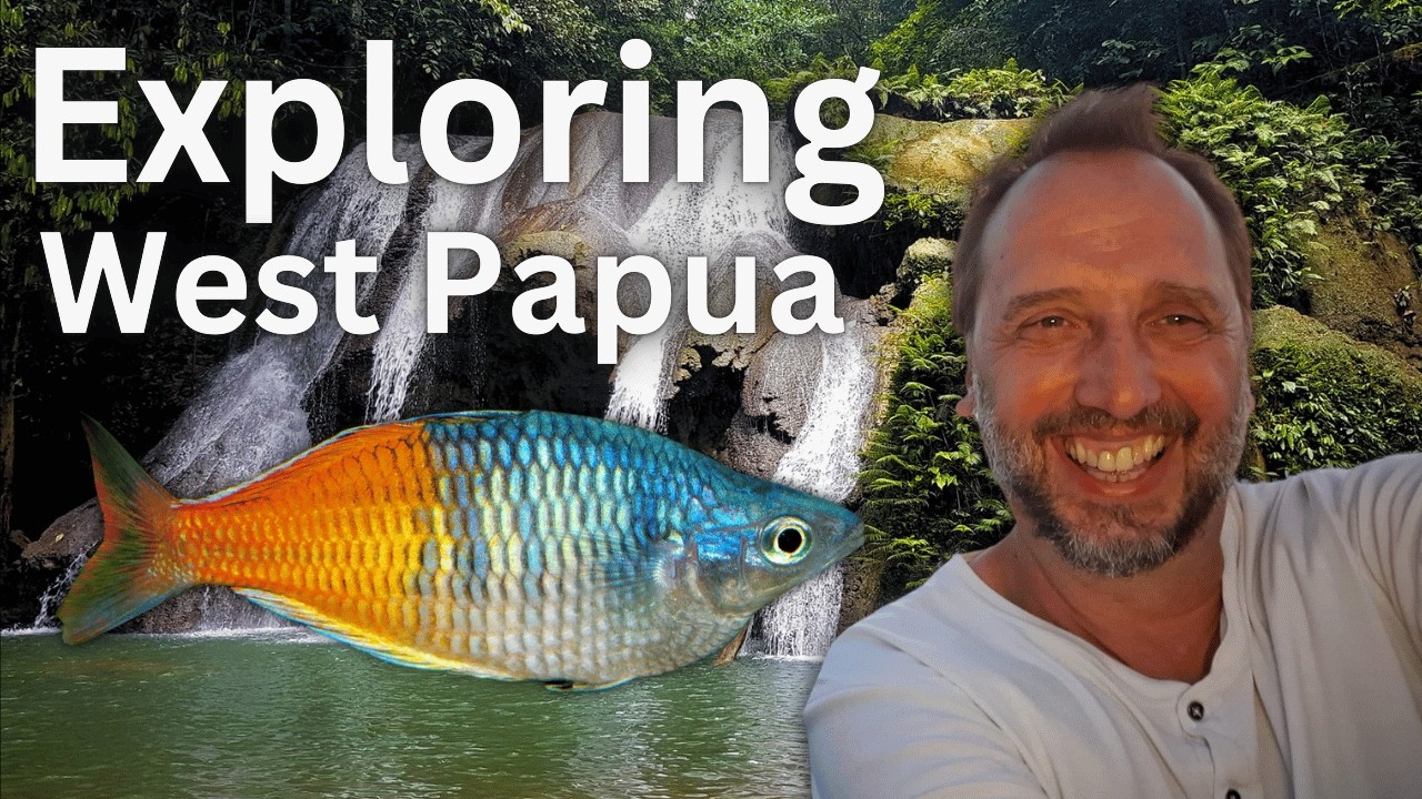 Rainbowfish Collecting in West Papua | Hans Evers (ANGFA National Conference 2024) - YouTube