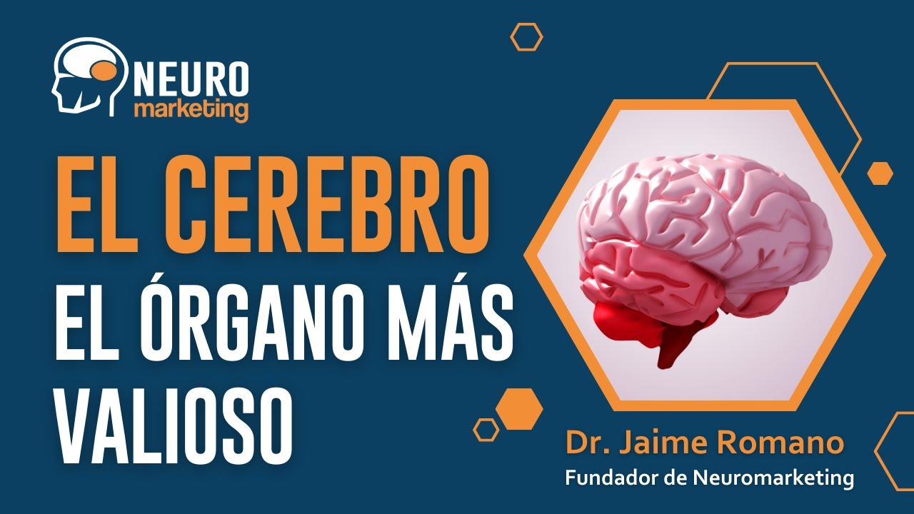 El cerebro, el órgano más valioso del ser humano; Dr. Jaime Romano ...