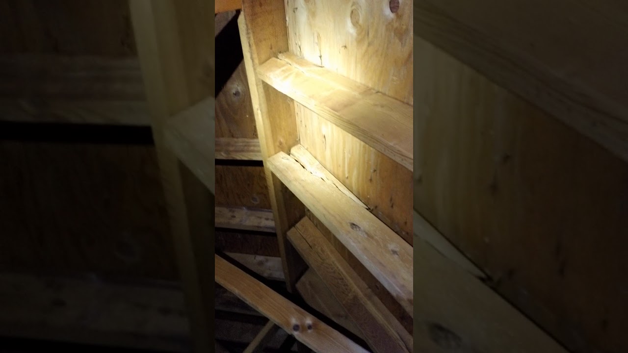 This is why we want to look in every attic. Cracked rafters! - YouTube