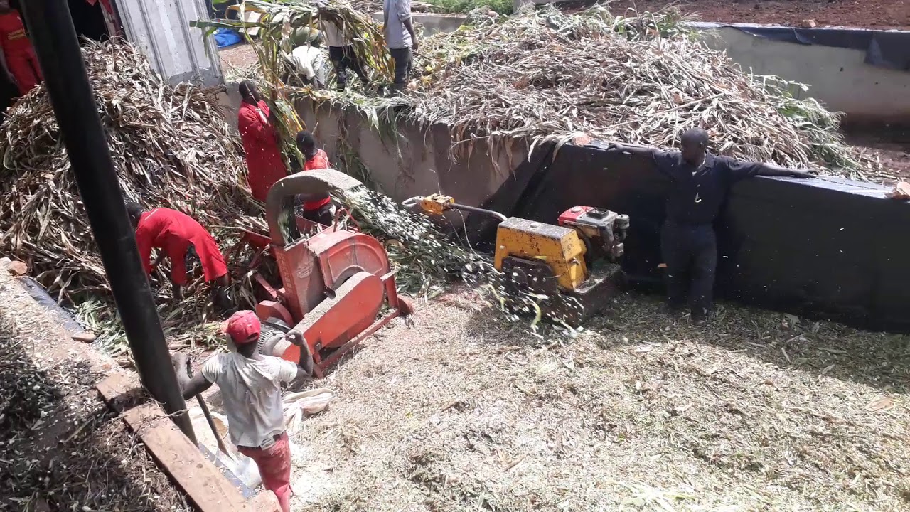 Silage making for small holder farms#Abigaba solutions limited - YouTube