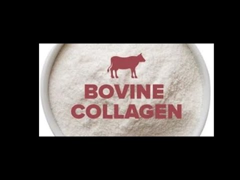 L'influenceur m'apprend plein de trucs sur le collagène (part 2 de 2 ...