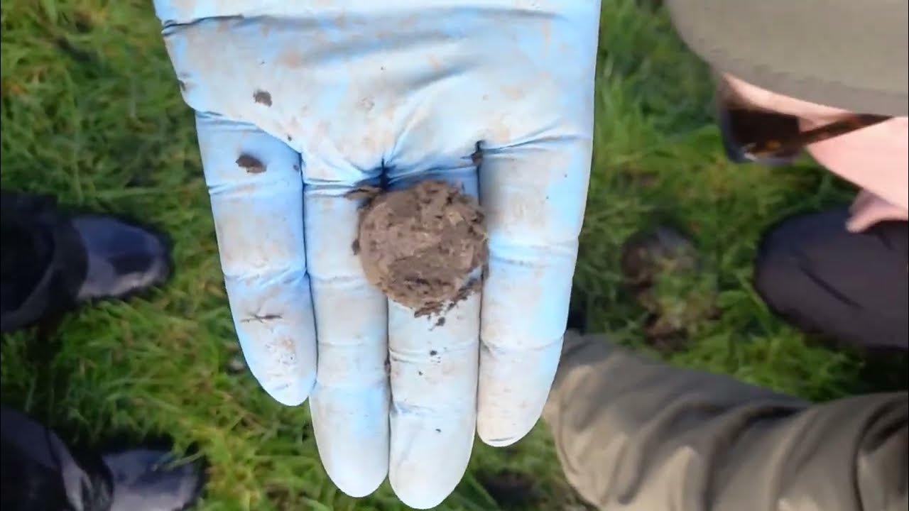 Unearthing Coins Metal Detecting - YouTube