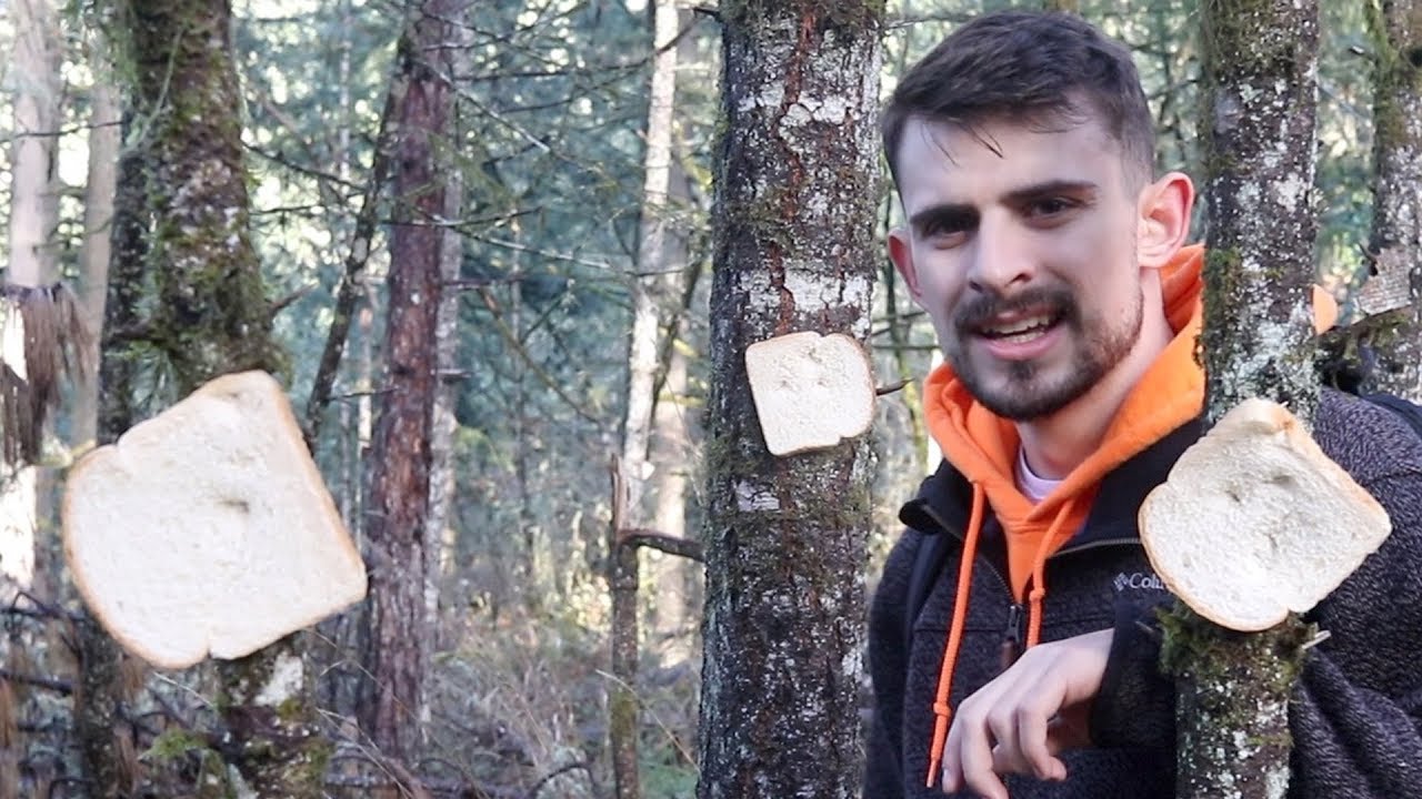 Stapling Bread to 100 Trees - YouTube