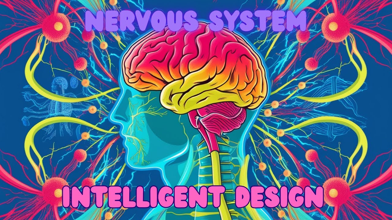 Unlocking The Secrets Of The Human Nervous System: How Intelligent ...