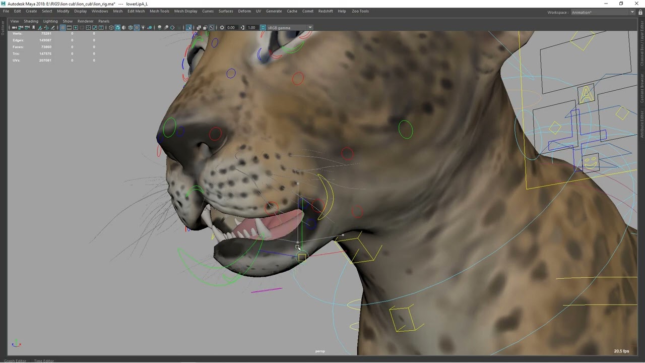 Lion cub rig update texture and whiskers setup - YouTube