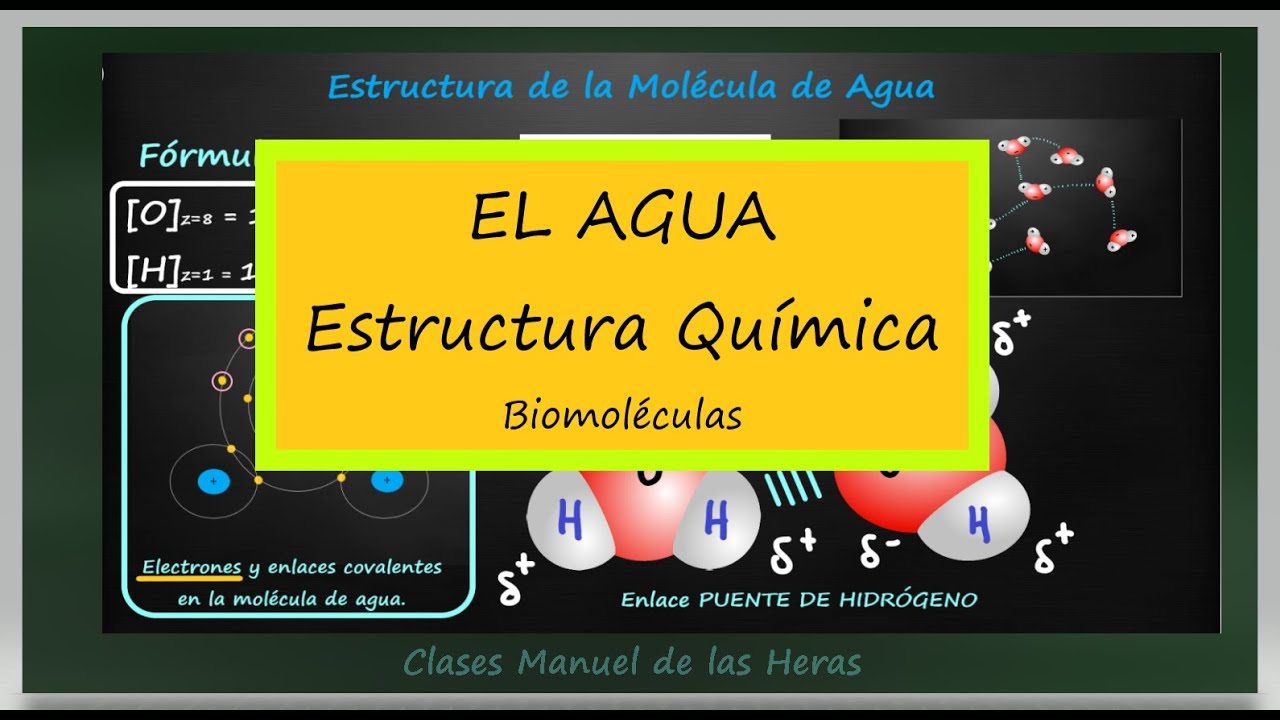 La MOLÉCULA DE AGUA. Estructura Química. Biomoléculas. Puentes de ...