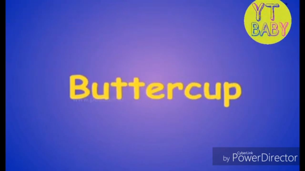 Buttercup flower's song - YouTube