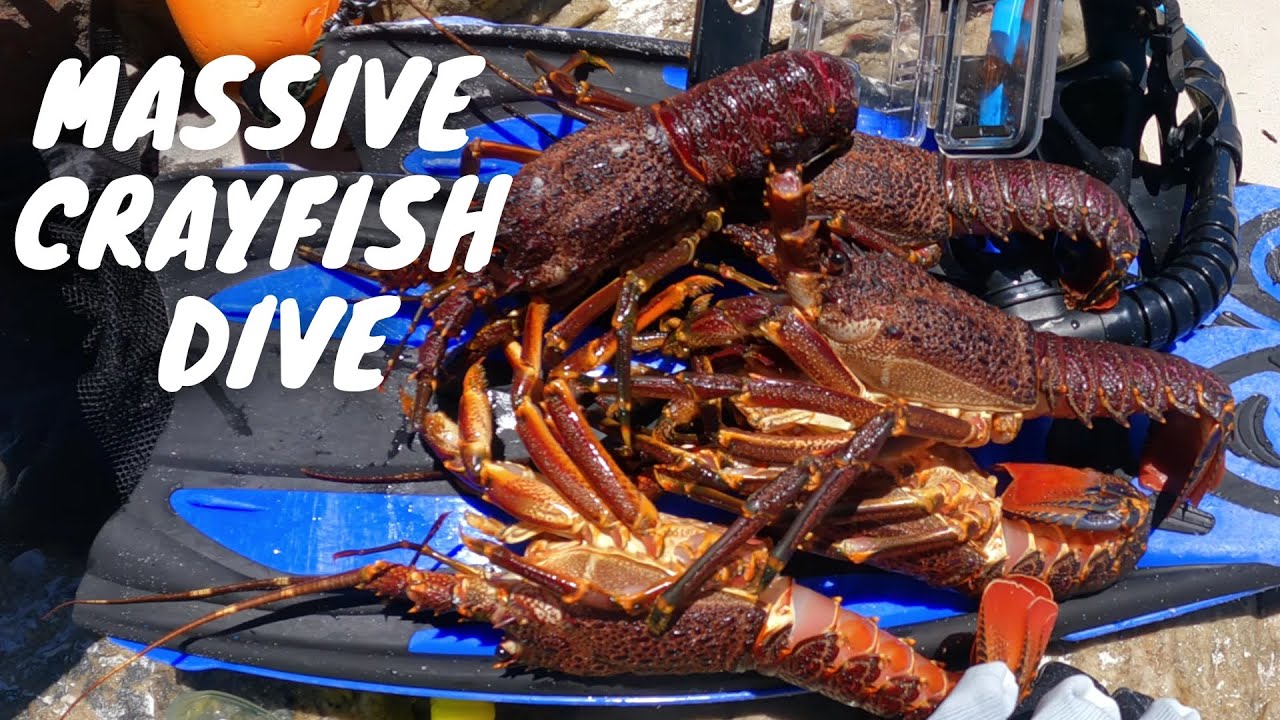 Crayfish everywhere - What a day! - YouTube