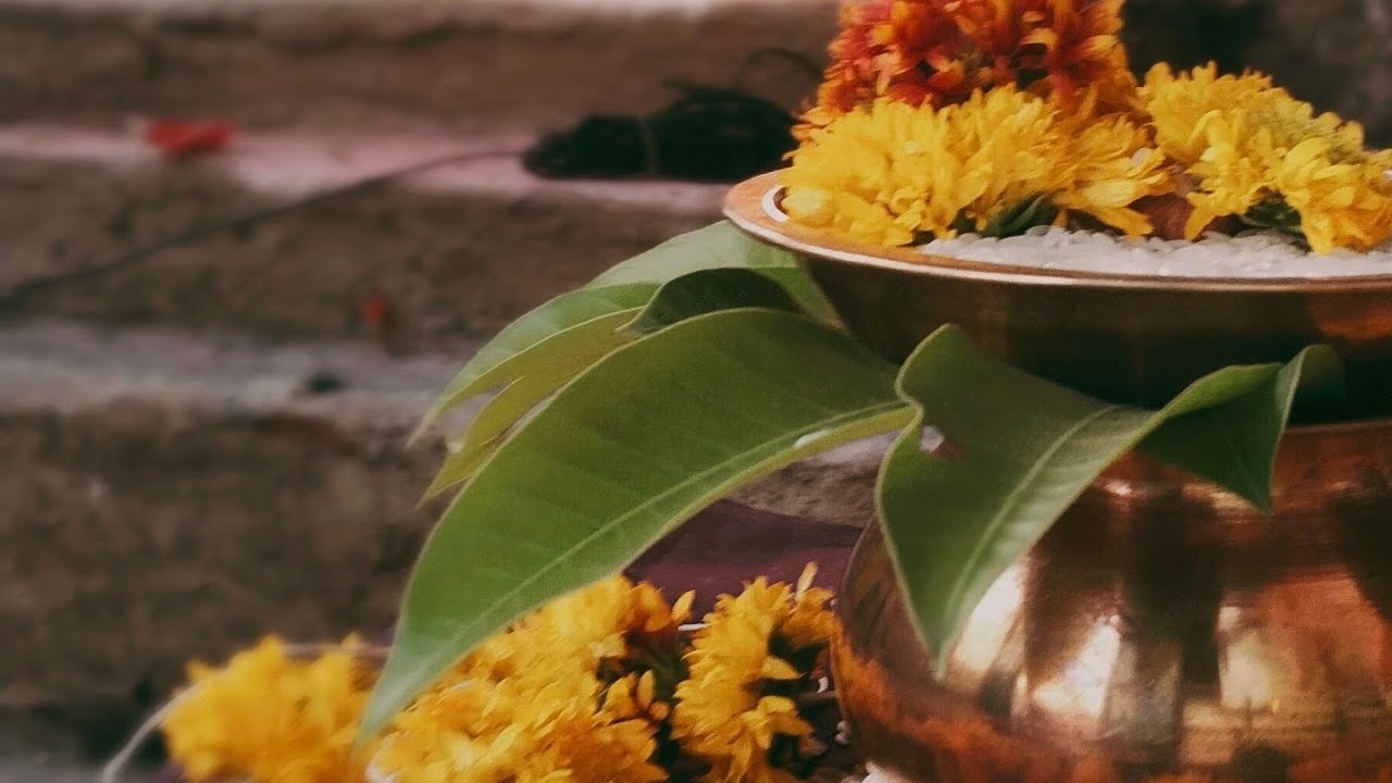 Vedadhara Daily Homa & Durga homa 5-11-2024 - YouTube