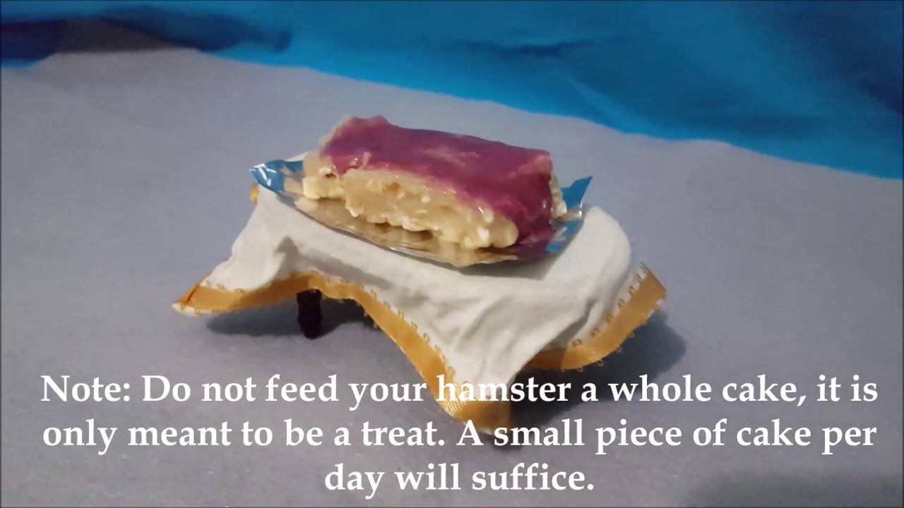How to Make a Hamster-Safe Cake - YouTube